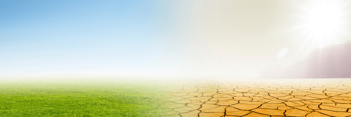 BIASC To Host Utility & Water Boot Camp At The 2021 Building Industry ...